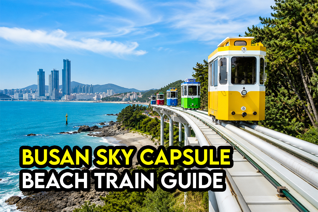 Busan Sky Capsule & Beach Train Guide 2026 – Best Coastal Experience in ...