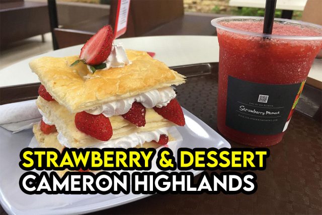 Dessert & Strawberry Spot Wajib Try di Cameron Highlands - Snapbackpacker